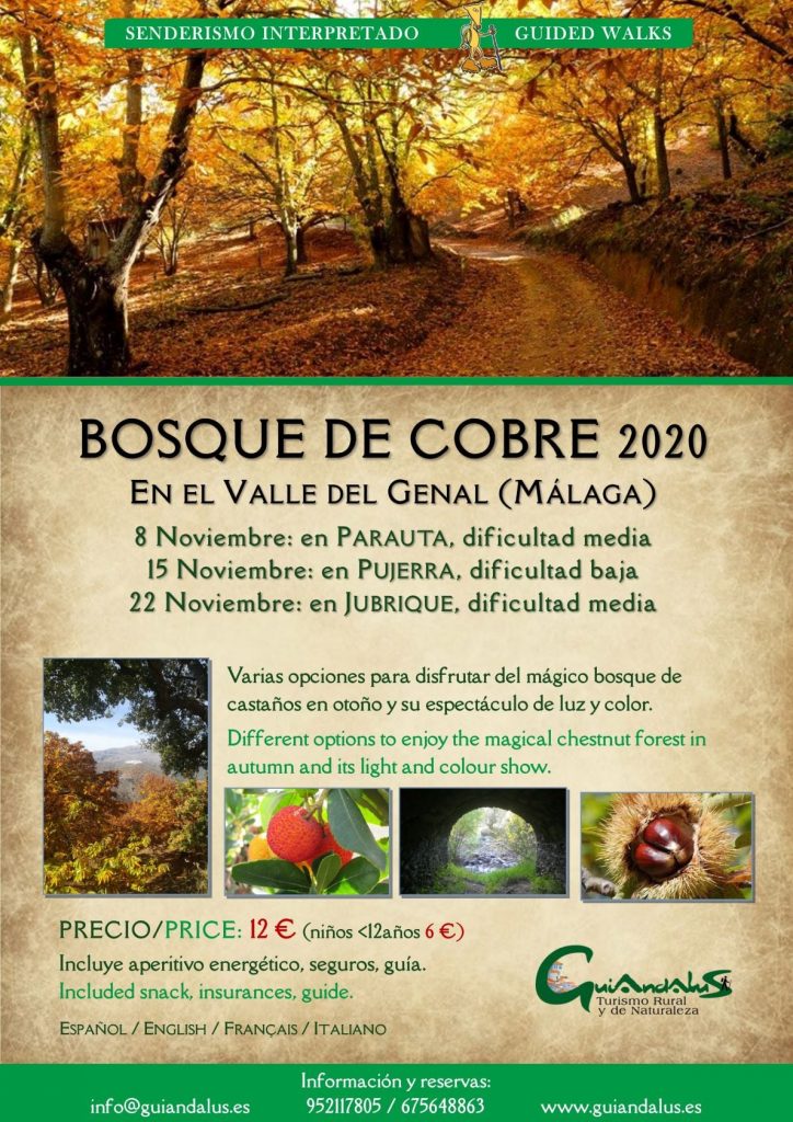 'Copper Forest' Guided Walks, Genal Valley - Secret Serrania de Ronda